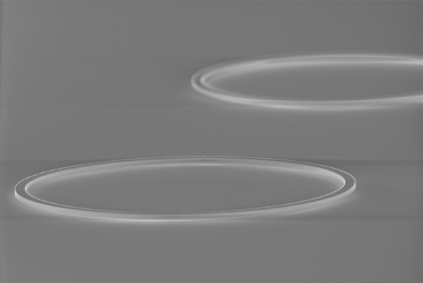 Phase Rings | Applied Nanotools Inc.